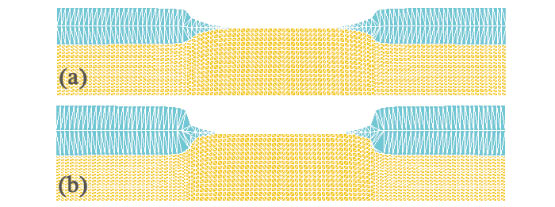 GSS - screen snapshoot